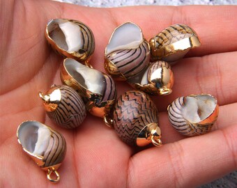 5/10/20pcs Natural Sea Shells Cowrie Shell Gold Plated Shell | Etsy