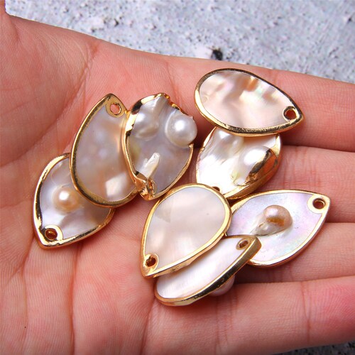 5/10/20pcs Natural Sea Shells Cowrie Shell Gold Plated Shell - Etsy