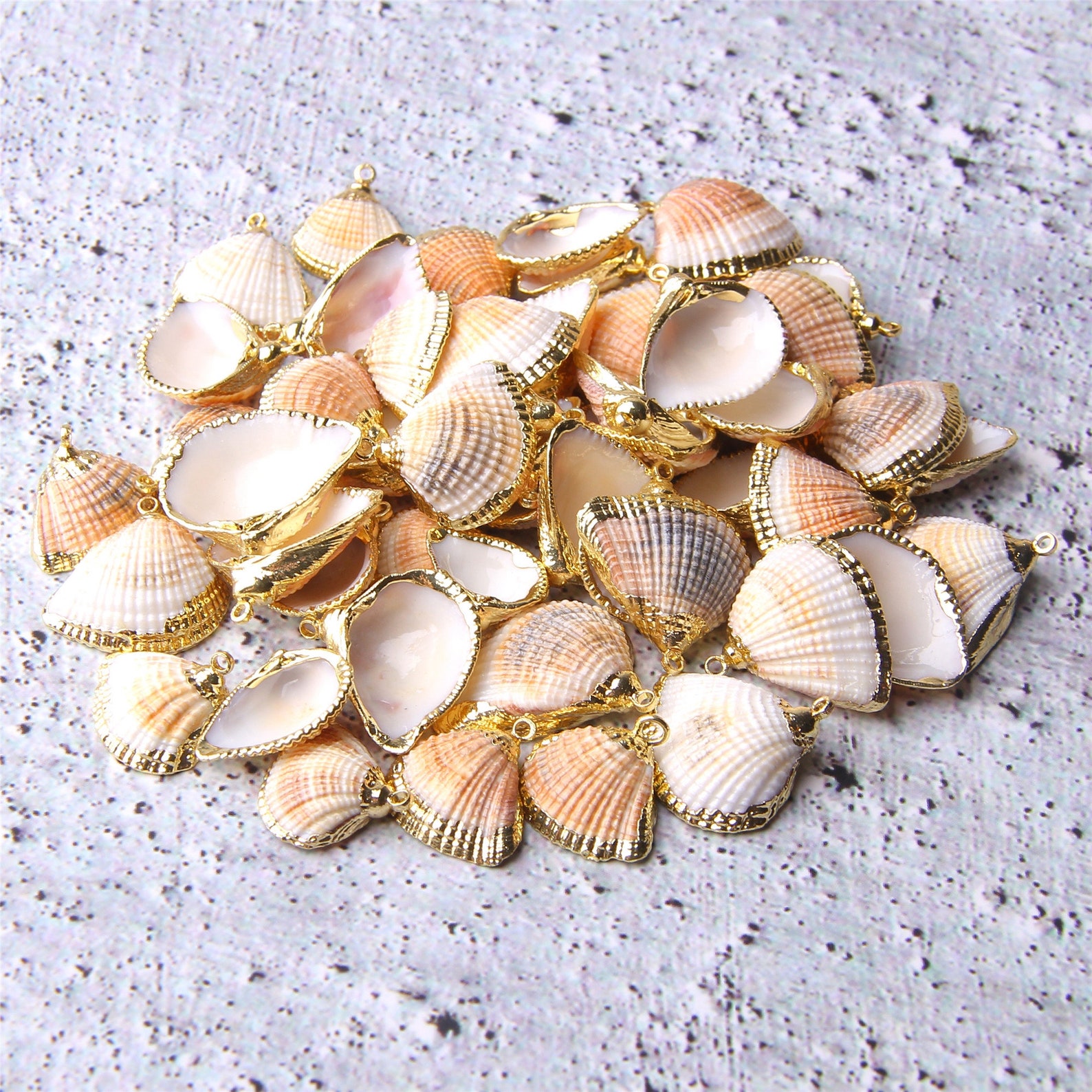 4/10/20pcs Natural Sea Shells Cowrie Shell Gold Plated Shell | Etsy