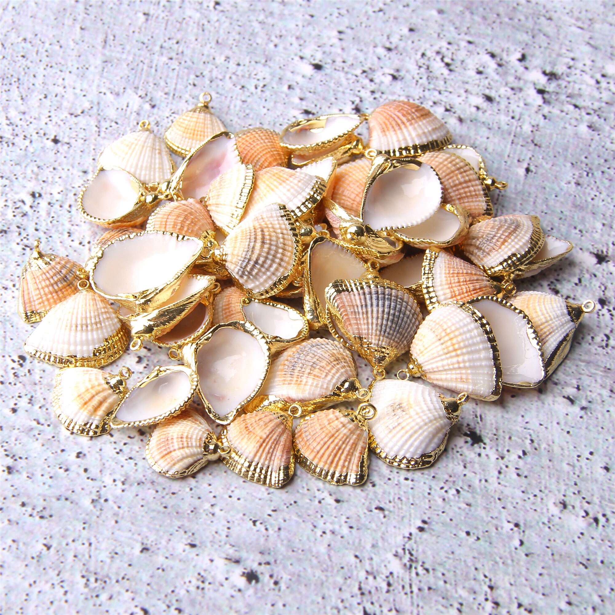4/10/20pcs Conchas de mar naturales Cowrie Shell Oro plateado Shell ...