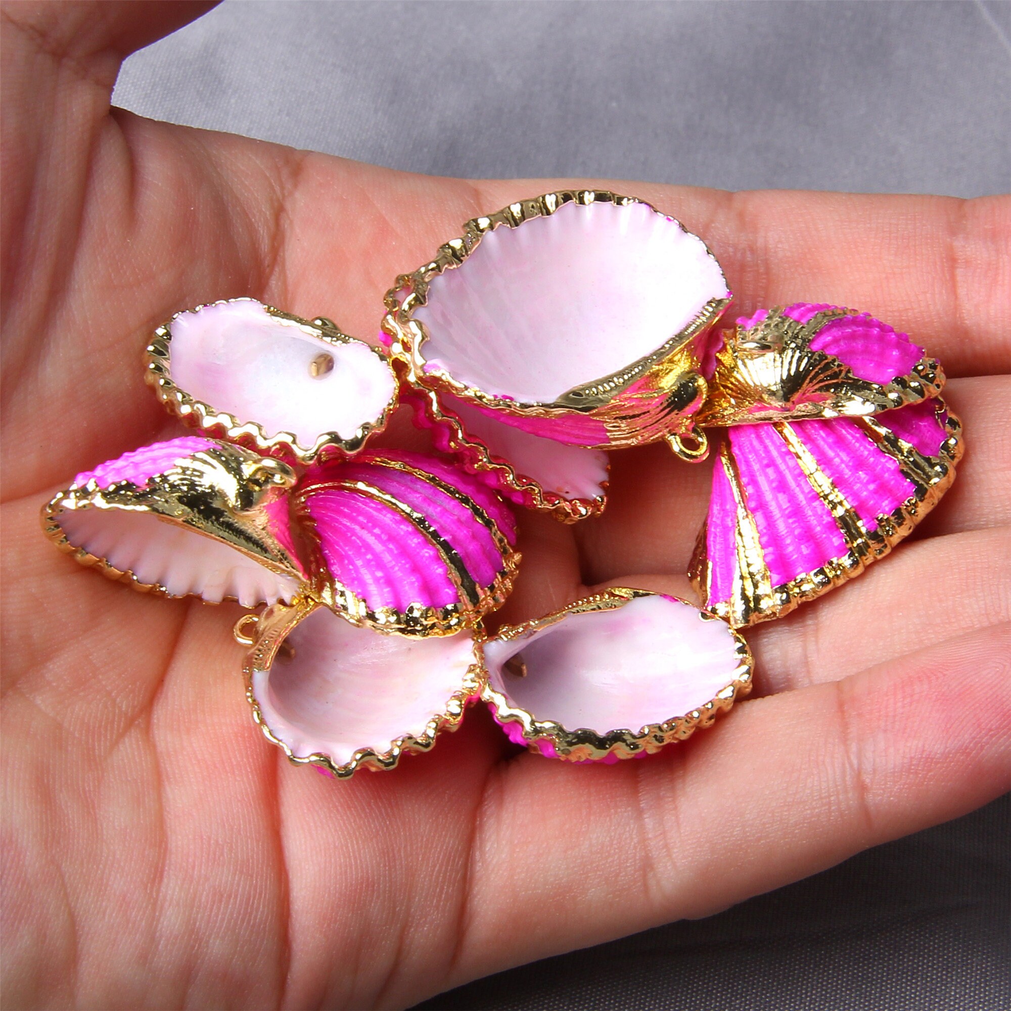 5/10/20pcs Pink Natural Sea Shells Cowrie Shell Sea Shell | Etsy