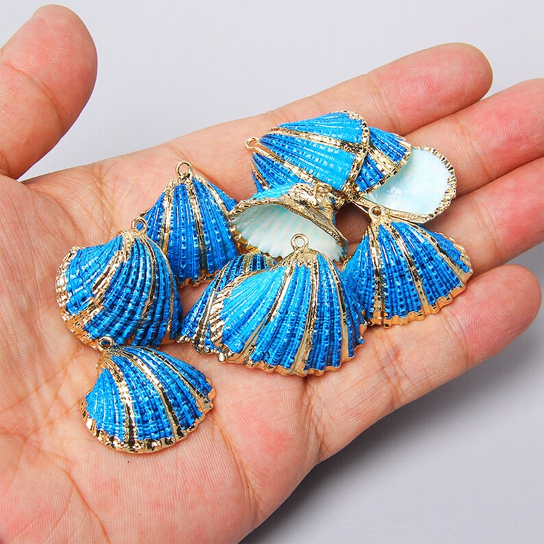 5/10/20pcs Blue Natural Sea Shells Cowrie Shell Sea Shell | Etsy