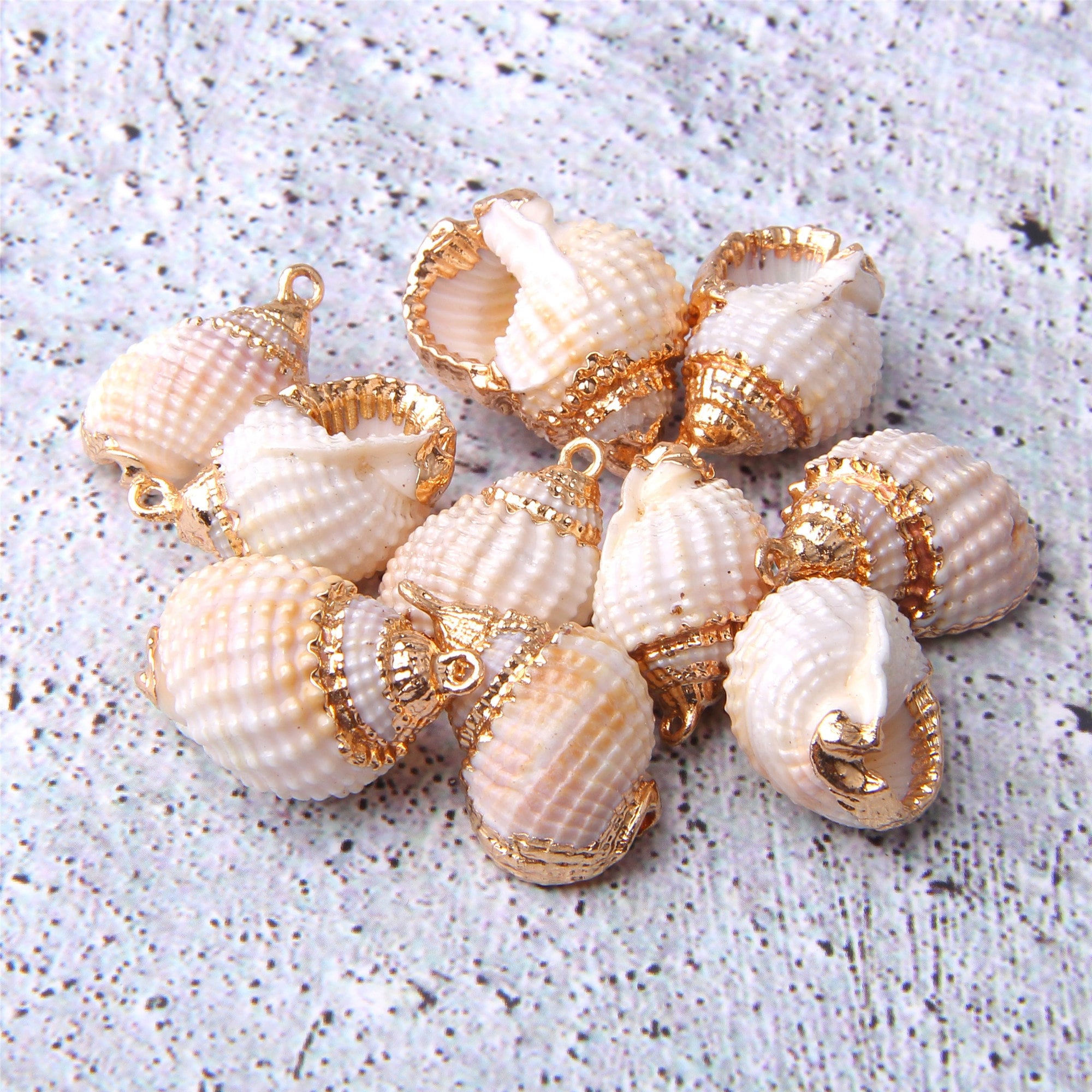 5/10/20pcs Natural Sea Shells Cowrie Shell Gold Plated Shell - Etsy