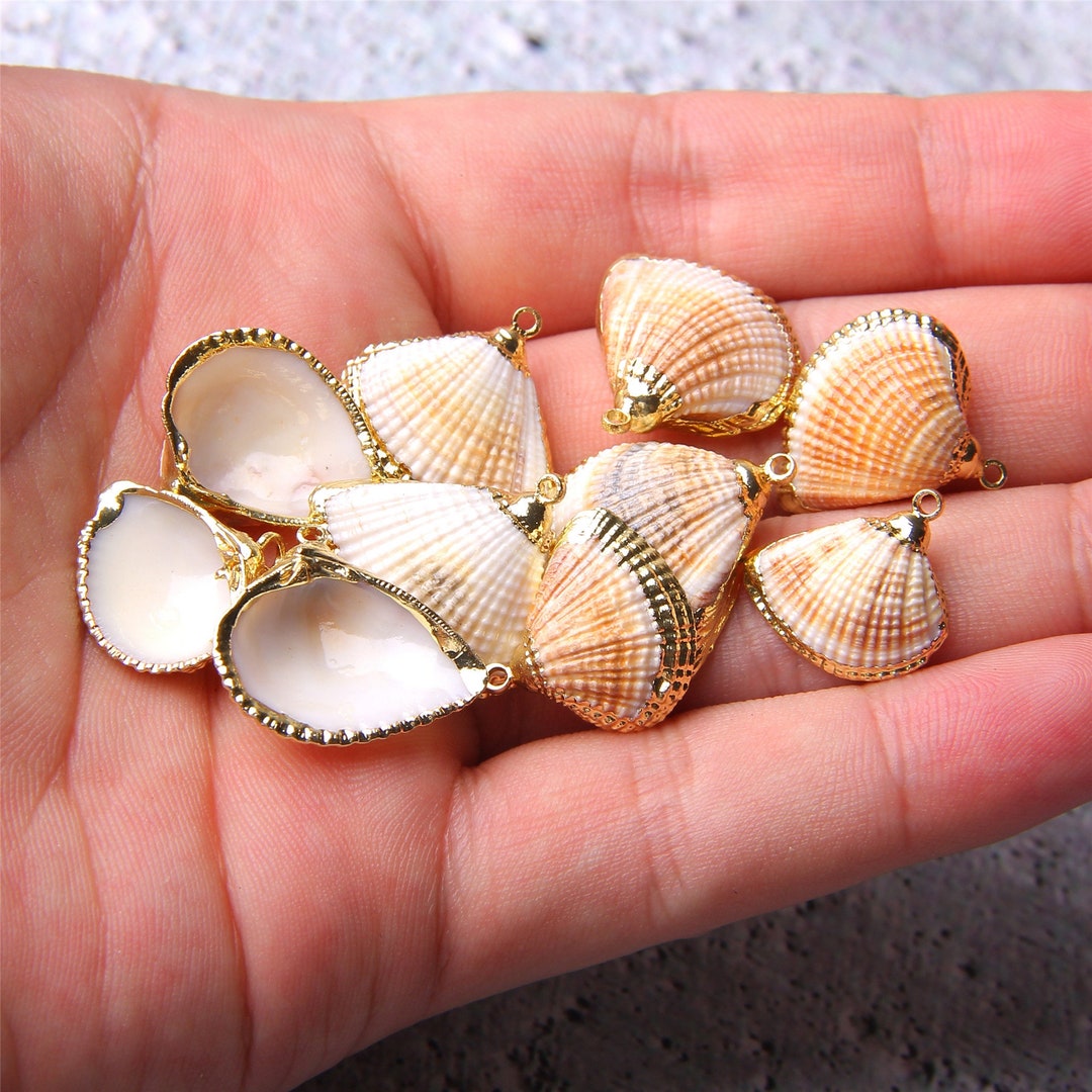 4/10/20pcs Natural Sea Shells Cowrie Shell Gold Plated Shell Pendants ...