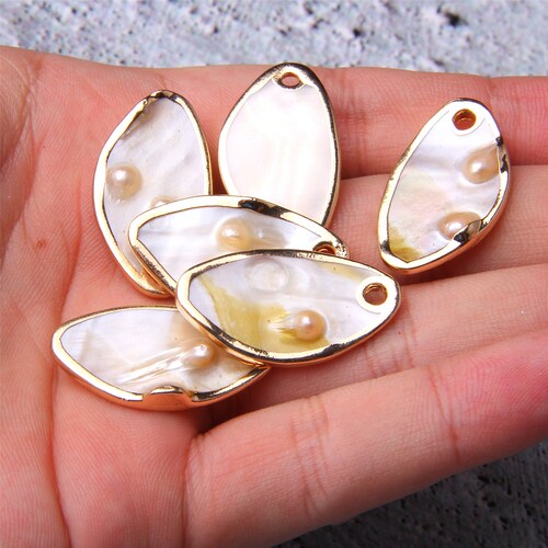 5/10/20pcs Natural Sea Shells Cowrie Shell Gold Plated Shell - Etsy