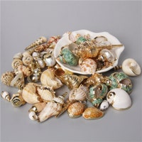 Shell Jewelry - Etsy