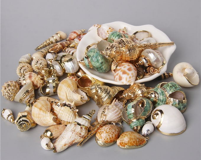 5/10/20pcs Natural Sea Shells Cowrie Shell Gold Plated Shell Pendants ...