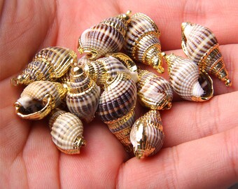 5/10/20pcs Natural Sea Shells Cowrie Shell Gold Plated Shell | Etsy
