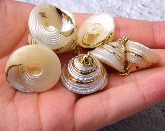 5/10/20pcs Natural Sea Shells Cowrie Shell Gold Plated Shell | Etsy
