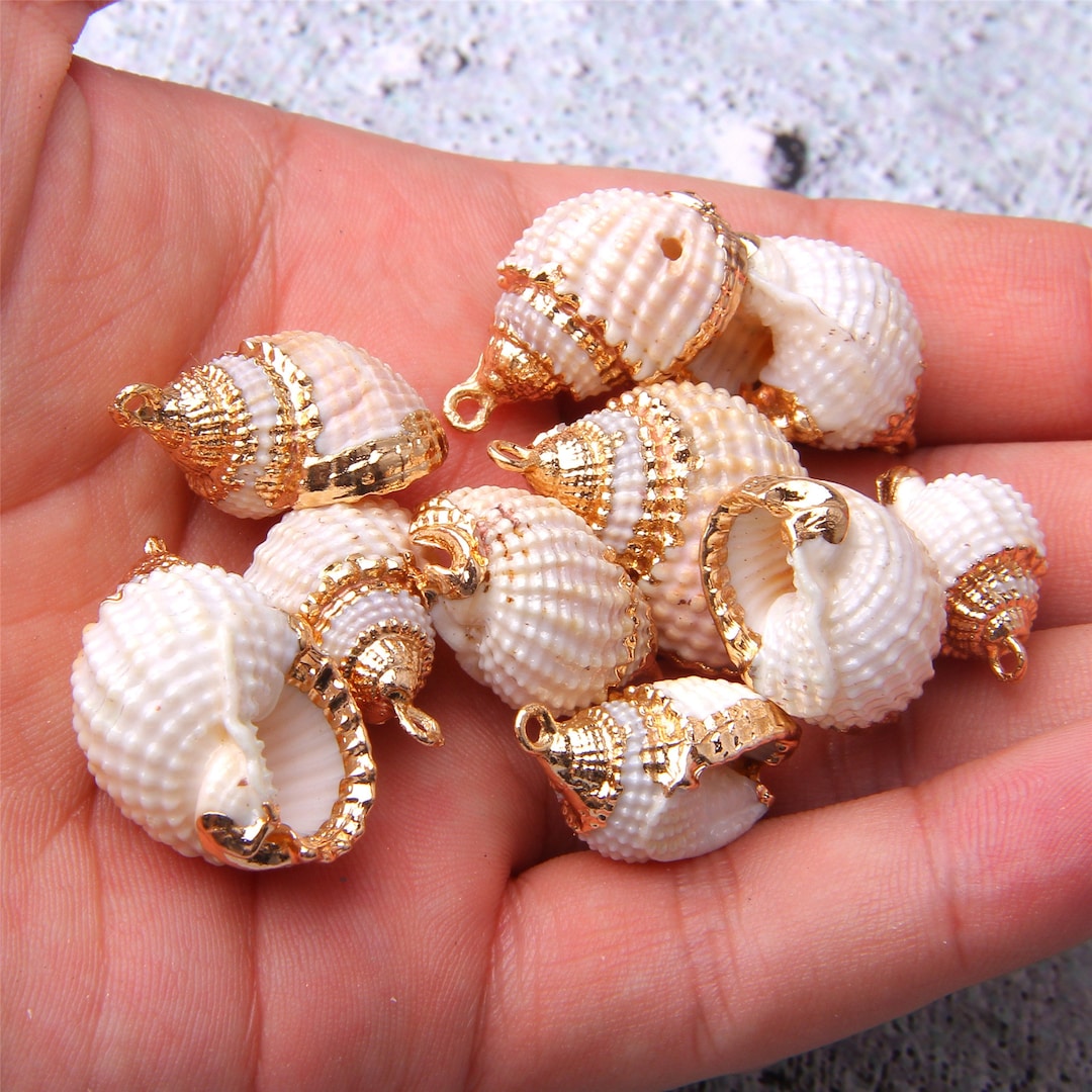 5/10/20pcs Natural Sea Shells Cowrie Shell Gold Plated Shell Pendants ...