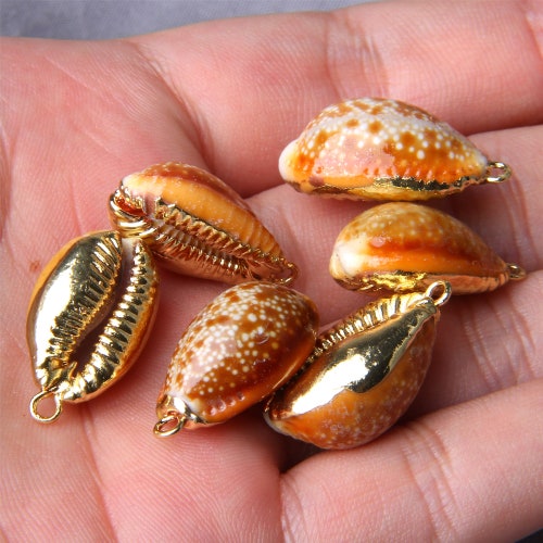 5/10/20pcs Natural Sea Shells Cowrie Shell Gold Plated Shell | Etsy