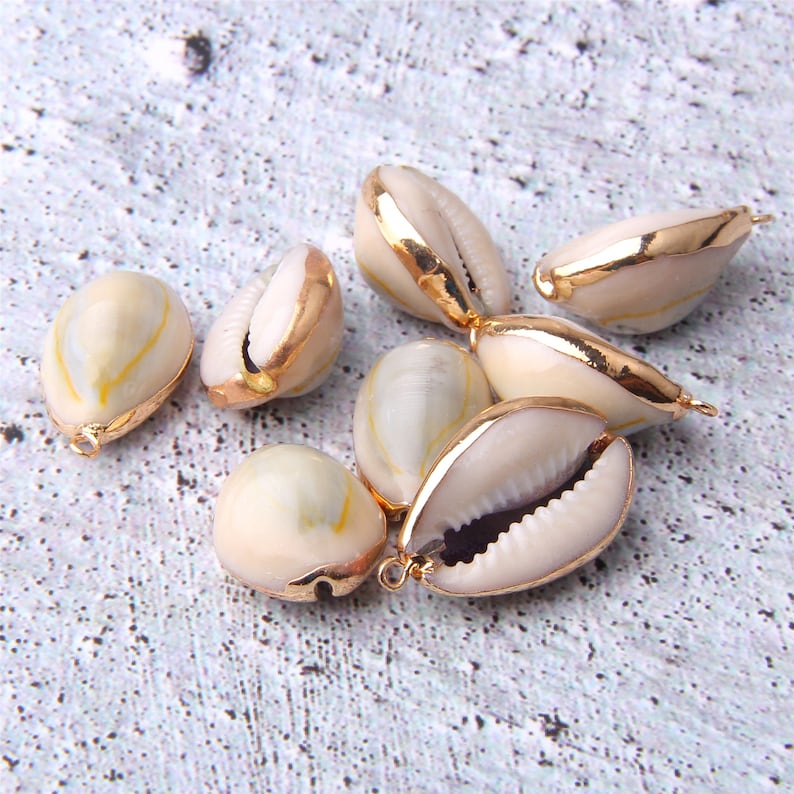 5/10/20pcs Natural Sea Shells Cowrie Shell Gold Plated Shell | Etsy