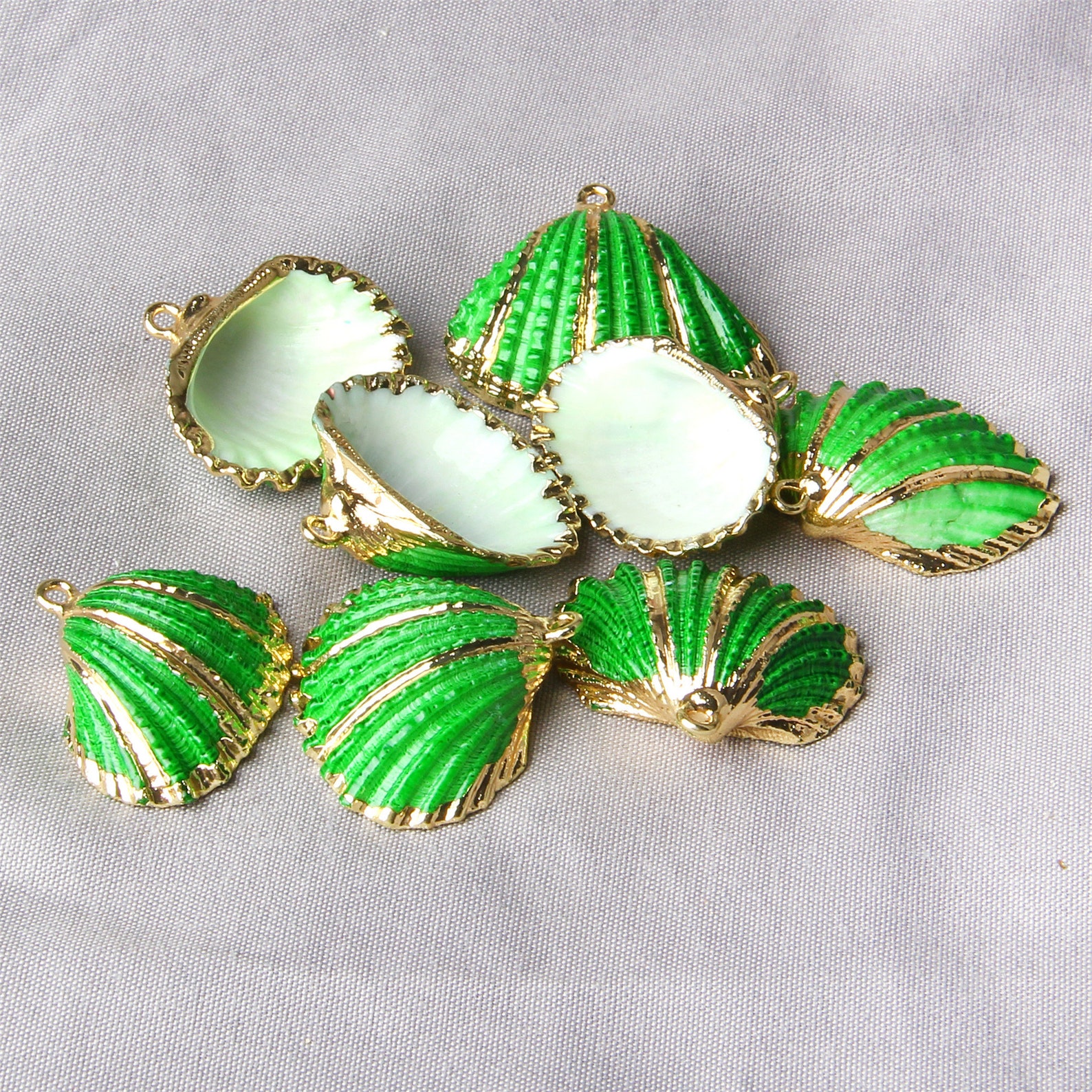 5/10/20pcs Green Natural Sea Shells Cowrie Shell sea Shell | Etsy