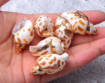 5/10/20pcs Natural Sea Shells Cowrie Shell Gold Plated Shell | Etsy