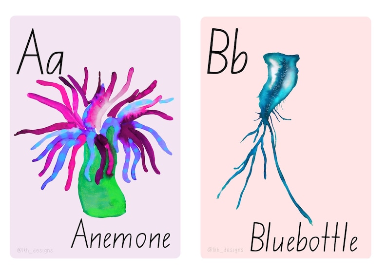 ABC Flashcards Digital Print High Quality Ocean Animal Absea Flash ...