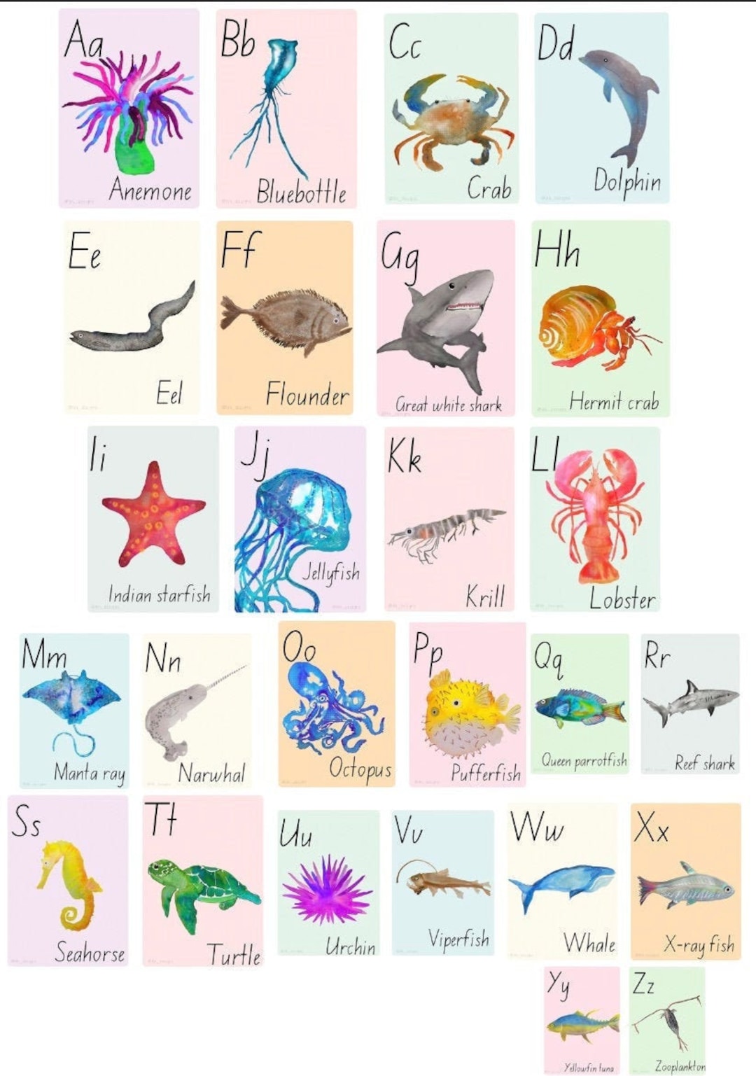ABC Flashcards Digital Print High Quality Ocean Animal Absea Flash ...