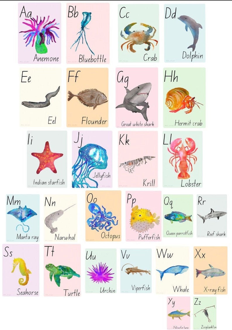 ABC Flashcards Digital Print High Quality Ocean Animal Absea Flash ...