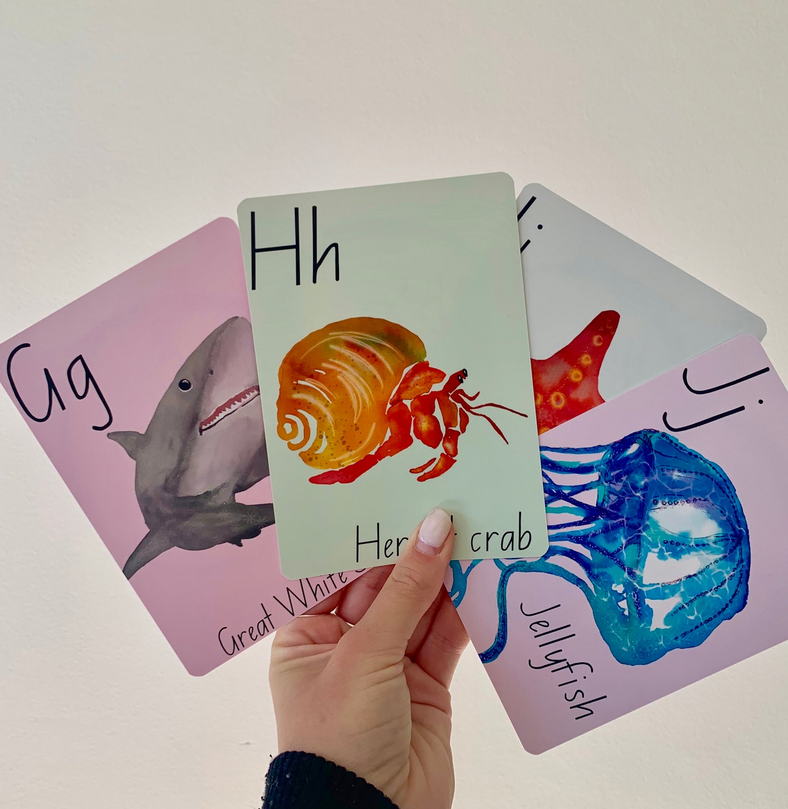 ABC Flashcards Digital Print High Quality Ocean Animal Absea Flash ...