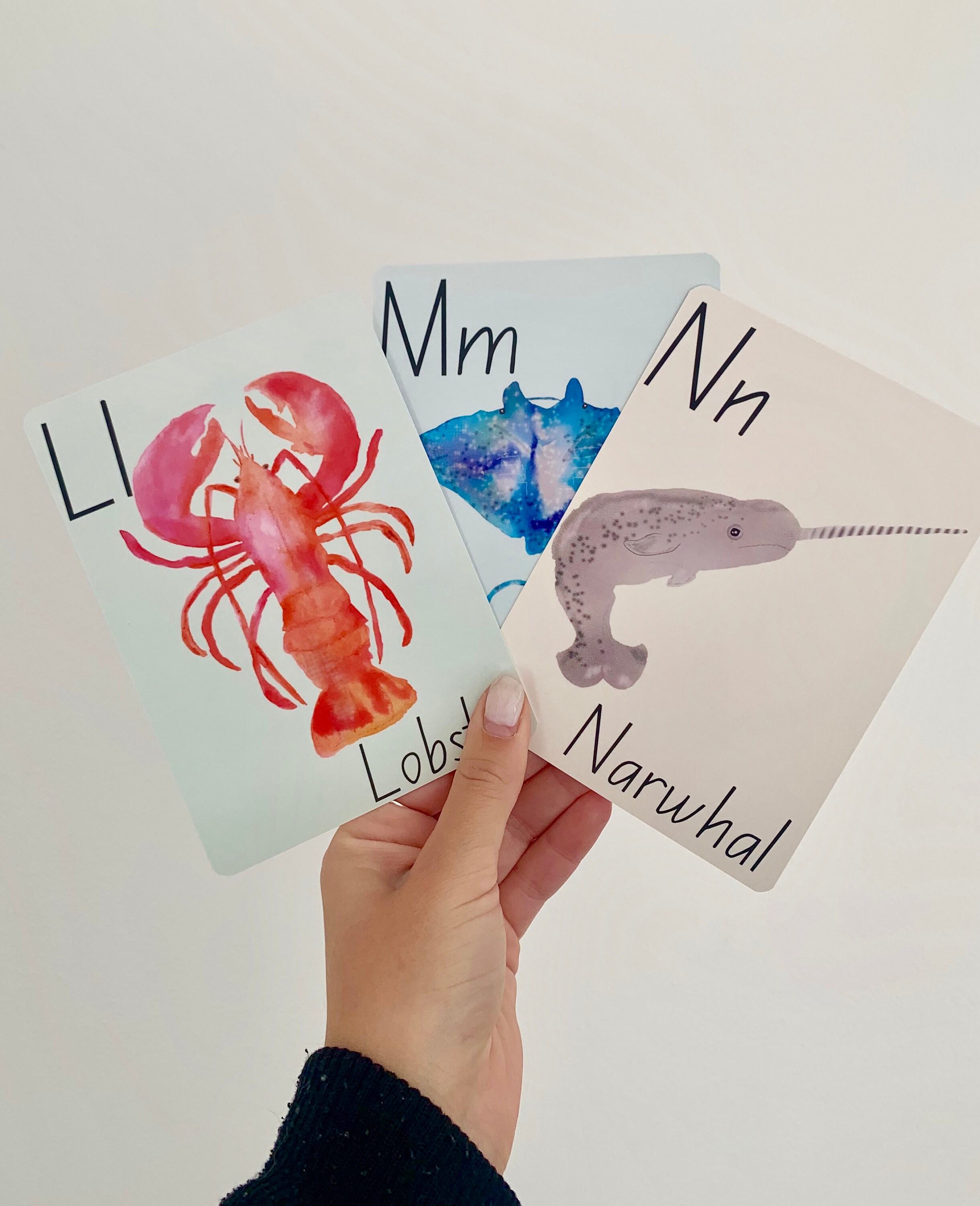 ABC Flashcards Digital Print High Quality Ocean Animal Absea Flash ...