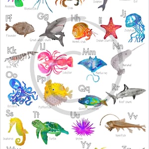 ABC Poster Ocean Animals Poster ABSEA Poster Nursery Education Abc ...