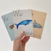 ABC Flashcards Digital Print High Quality Ocean Animal Absea Flash ...