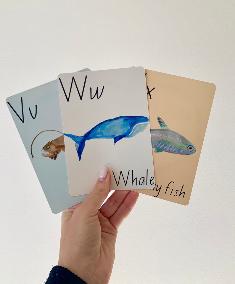 ABC Flashcards Digital Print High Quality Ocean Animal Absea | Etsy