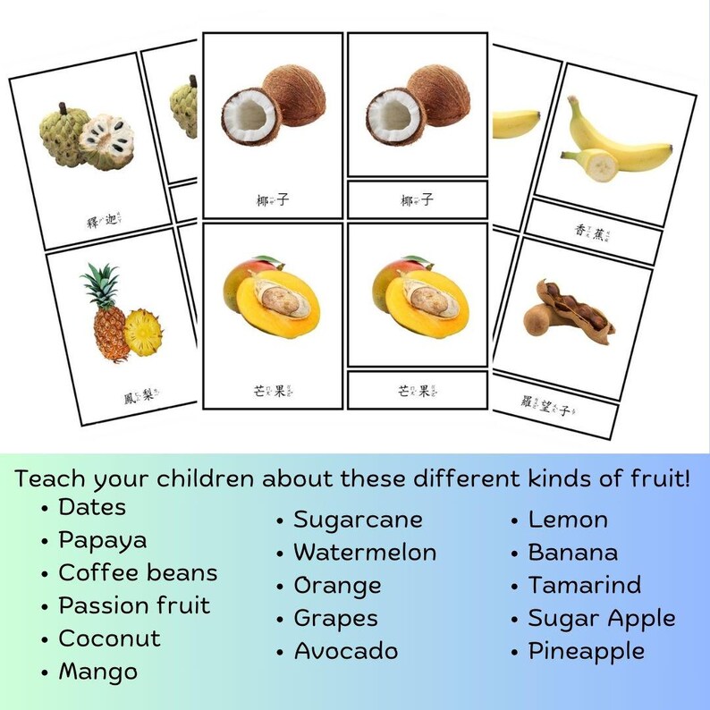 Montessori Chinese 3-part Cards With Zhuyin - Fruit - Etsy