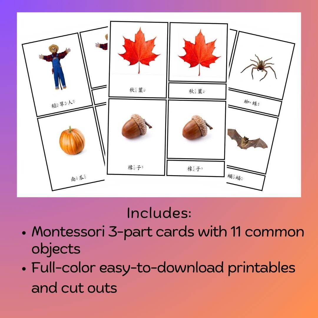 Montessori Chinese 3-part Cards With Zhuyin - Fall - Etsy