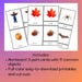 Montessori Chinese 3-part Cards With Zhuyin - Fall - Etsy