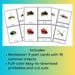 Montessori Chinese 3-part Cards With Zhuyin - Insects - Etsy