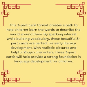 Montessori Chinese 3-part Cards With Zhuyin - Insects - Etsy