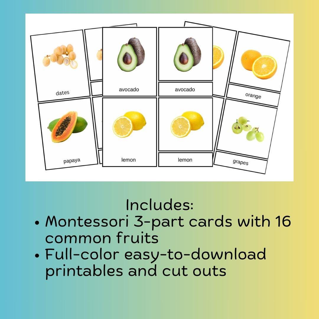 Montessori 3-part Cards in English - Fruit - Etsy