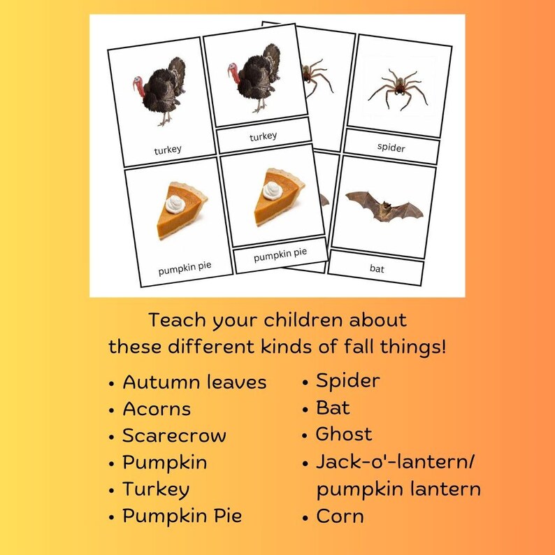 Montessori 3-part Cards in English - Fall/autumn Season - Etsy