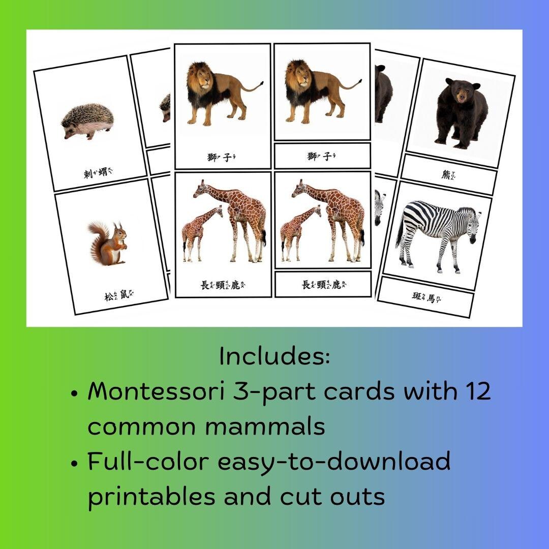 Montessori Chinese 3-part Cards With Zhuyin - Mammals - Etsy