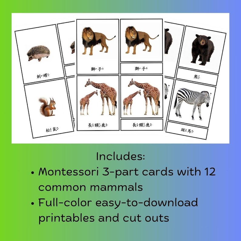 Montessori Chinese 3-part Cards With Zhuyin - Mammals - Etsy