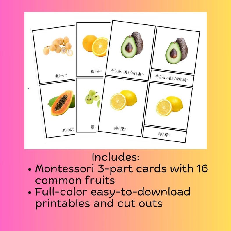 Montessori Chinese 3-part Cards With Zhuyin - Fruit - Etsy