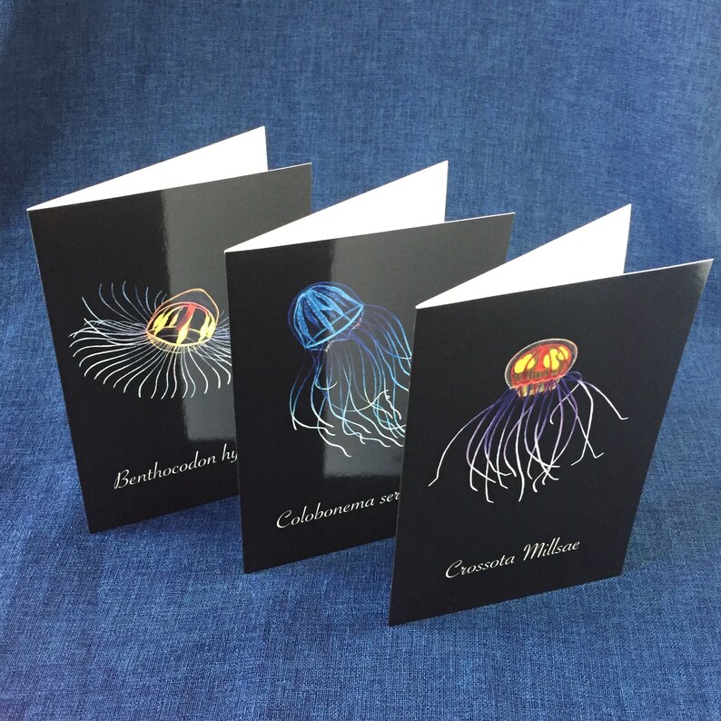 Crossota Millsae Jellyfish Greeting Card / Hydrozoan / - Etsy