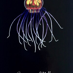 Crossota Millsae Jellyfish Greeting Card / Hydrozoan / Bathypelagic ...