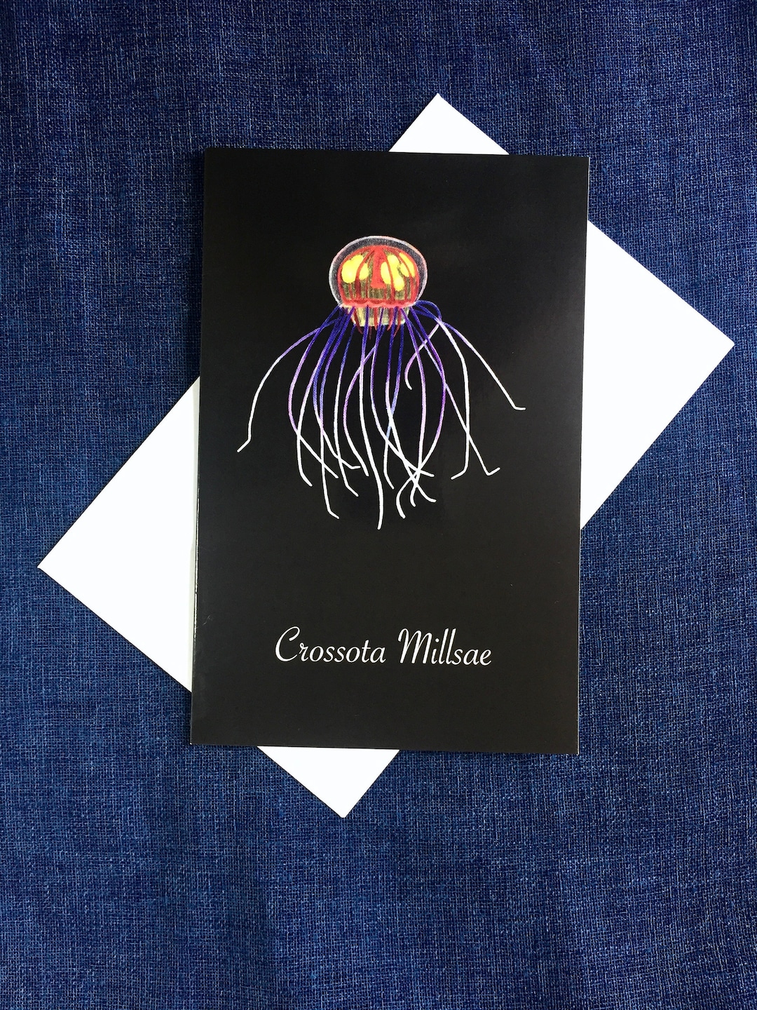 Crossota Millsae Jellyfish Greeting Card / Hydrozoan / Bathypelagic ...