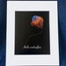 Jellyfish Atolla Vanhoeffeni Art Print / Hydrozoan / Bathypelagic ...