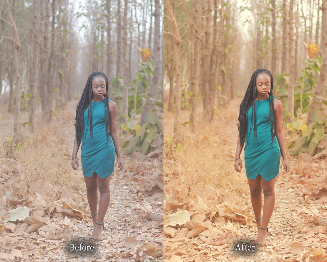 Creative LUT Warmth Film LUT Adobe Premiere Pro LUT Video - Etsy