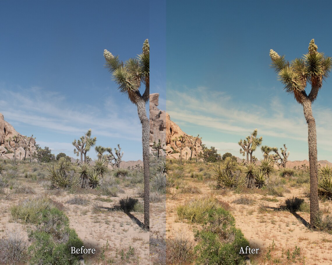 Creative LUT Warmth Film LUT Adobe Premiere Pro LUT Video - Etsy