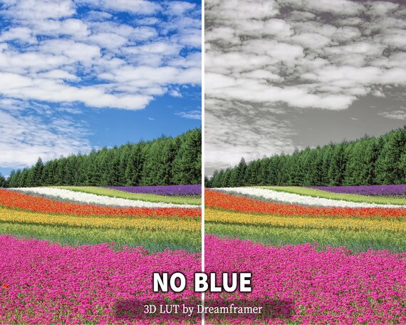 Creative LUT No Blue Film LUT Adobe Premiere Pro LUT Video - Etsy