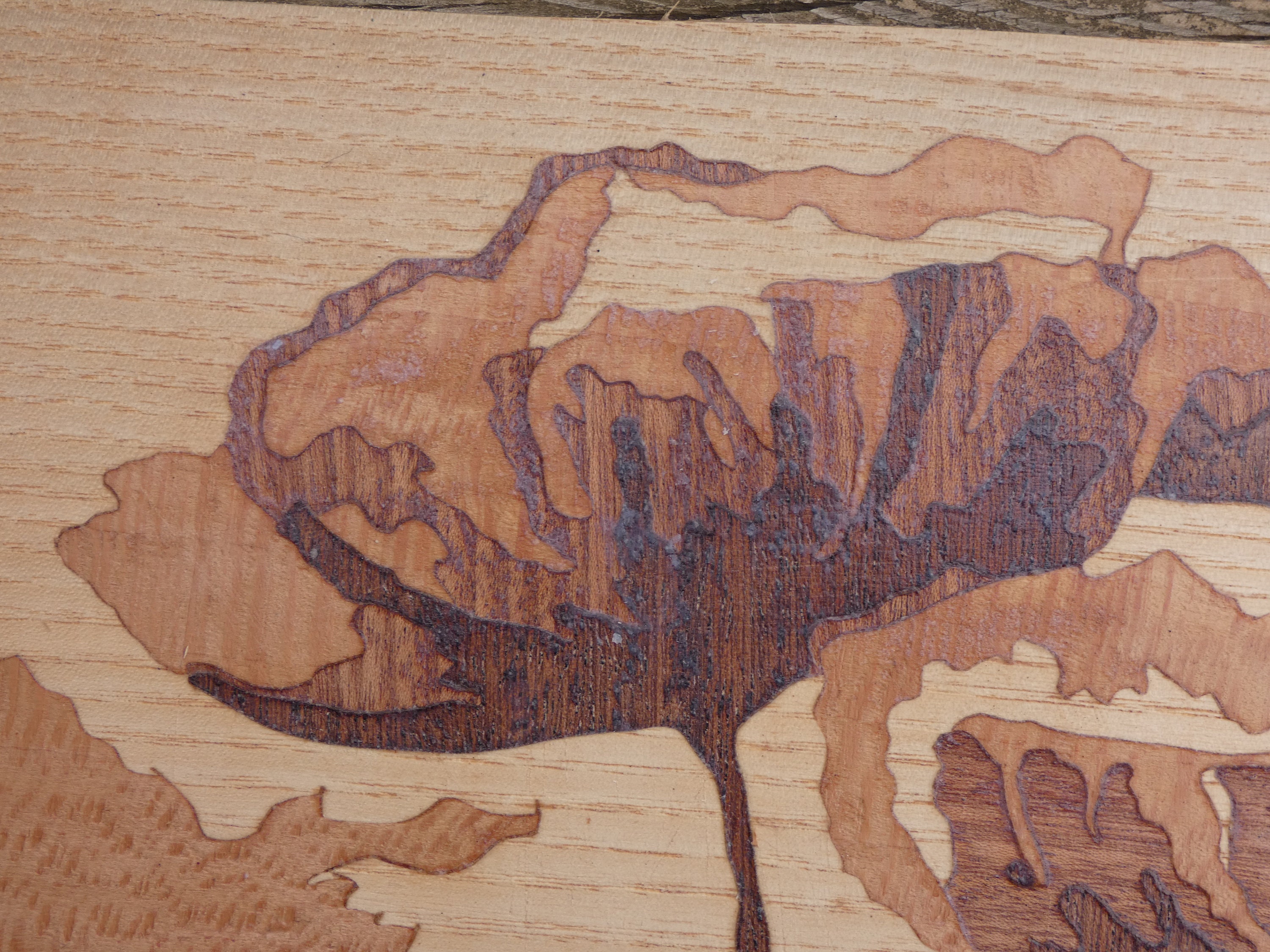 Marquetry: Tutorial and Diagram to Create a Painting - Etsy