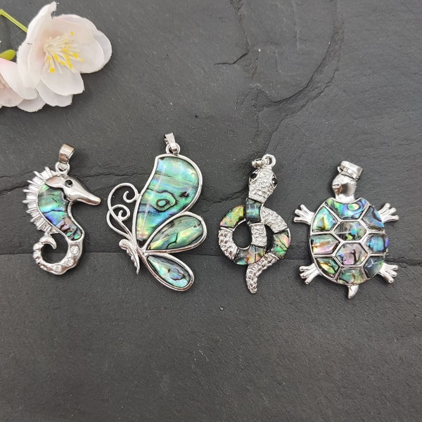 Seashell Turtle - Etsy