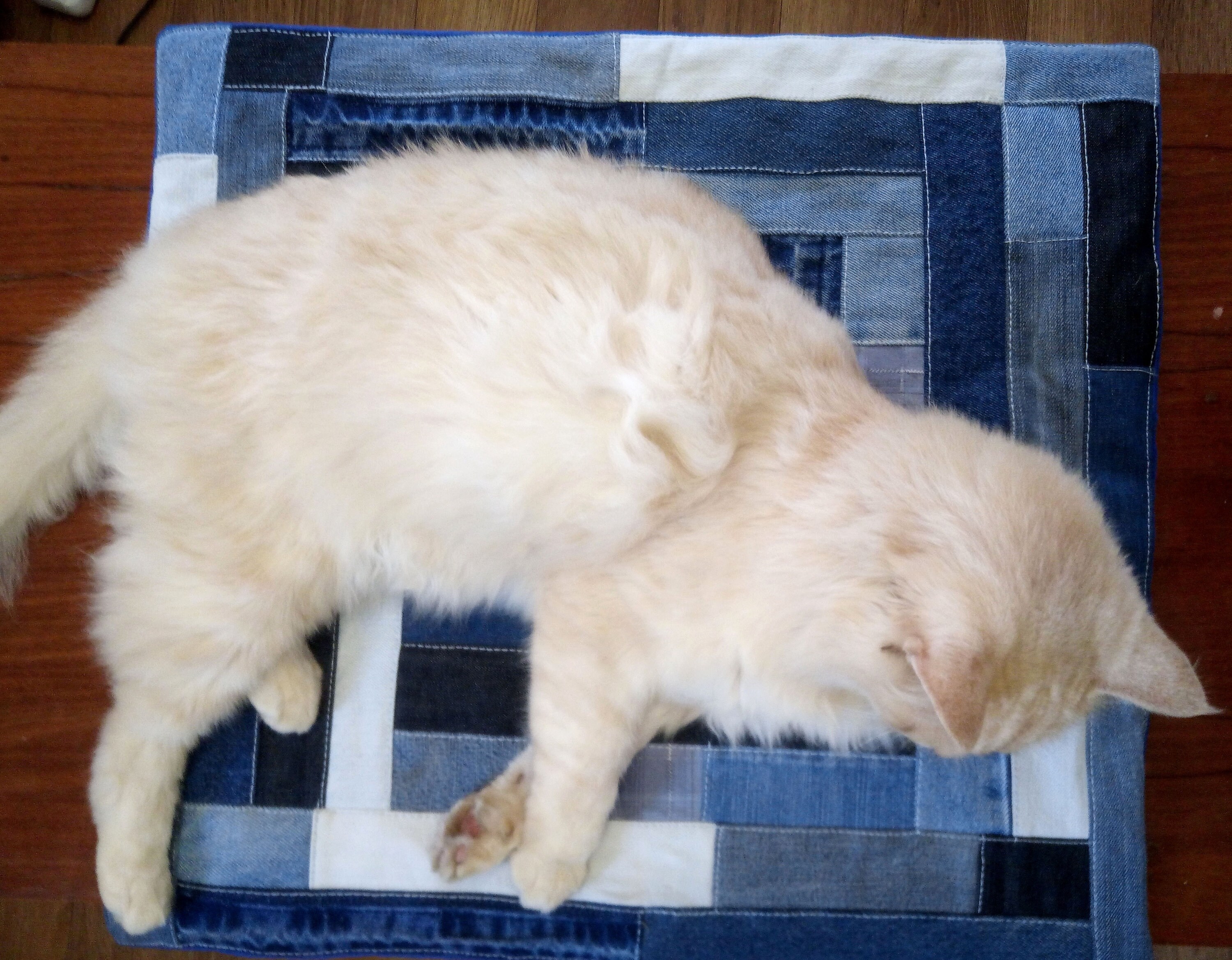 Patchwork Denim Cat Bed Recycled Jeans Mat for Small Dog - Etsy