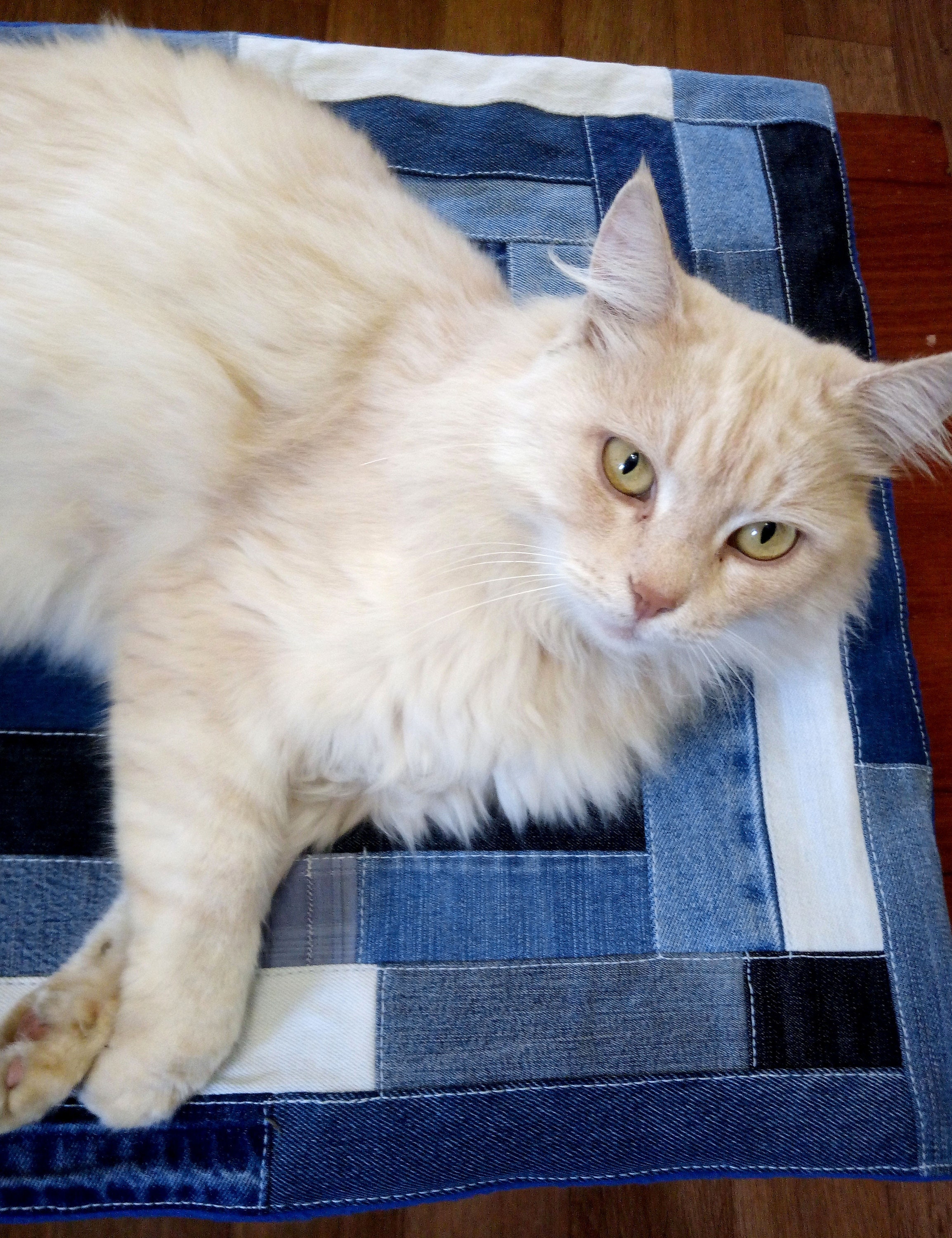 Patchwork Denim Cat Bed Recycled Jeans Mat for Small Dog - Etsy