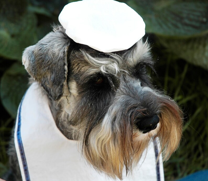 Dog Navy Hat & Collar Sailor's Beret Navy Dog Wedding Outfit Nautical ...