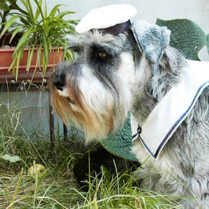 Dog Navy Hat & Collar Sailor's Beret Navy Dog Wedding Outfit Nautical ...
