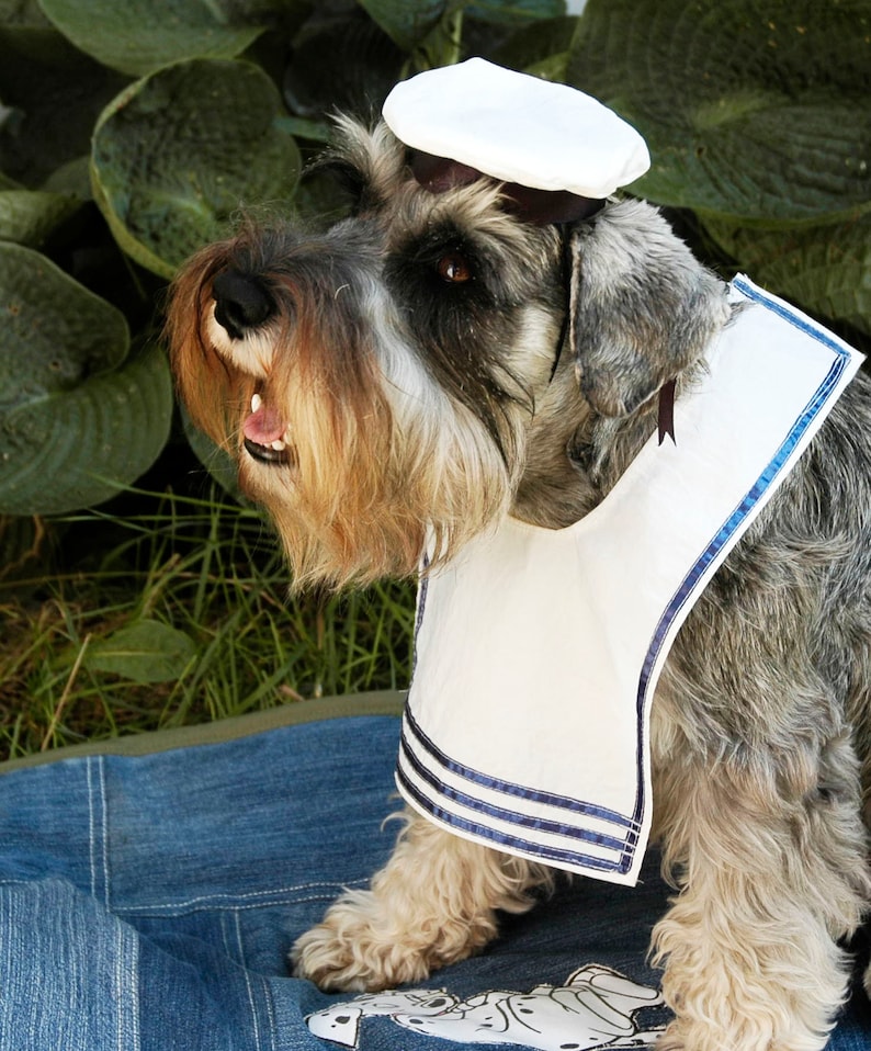 Dog Navy Hat & Collar Sailor's Beret Navy Dog Wedding - Etsy